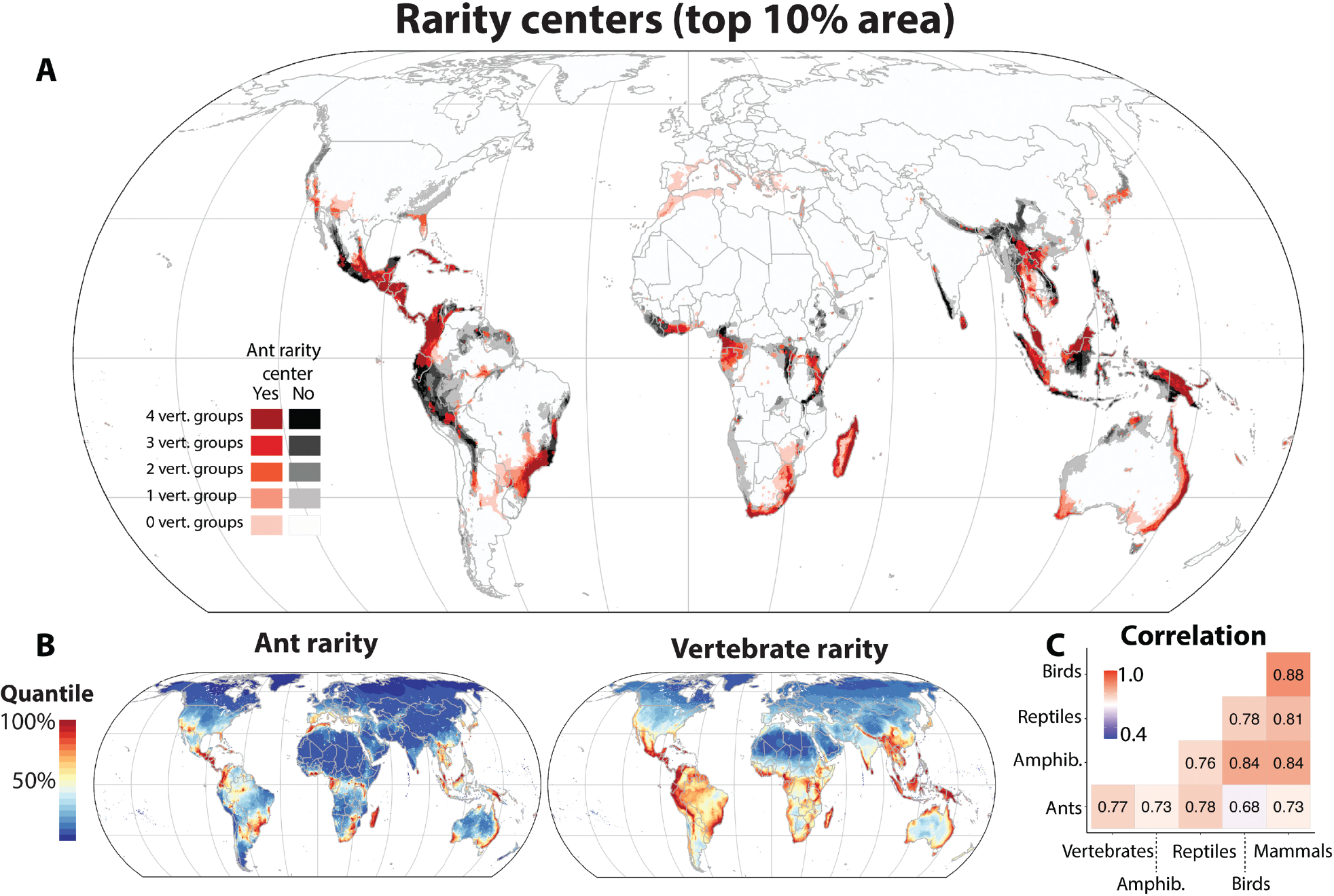 Macroecology Lab @ Tohoku University